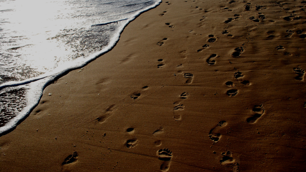 Holistic Healing – Elke Bayer