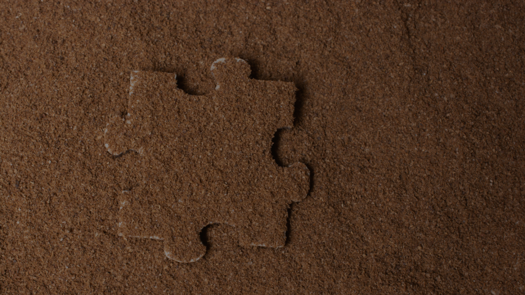 Conscious Creators Compass – Elke Bayer